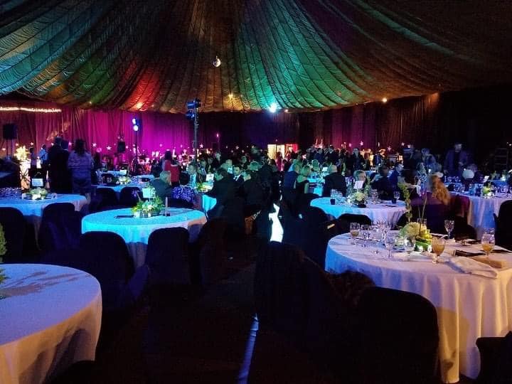 gala scene – Willow Oak Center for Arts & Learning